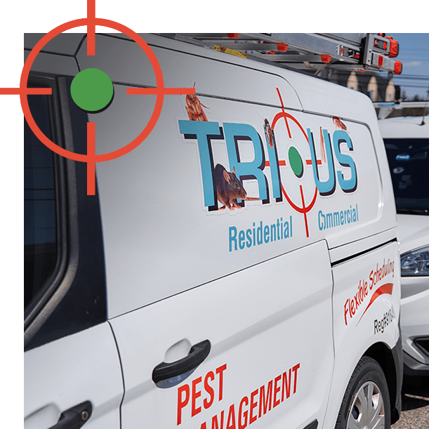 Commercial Pest Control In Wayne, NJ | Trius Pest Management